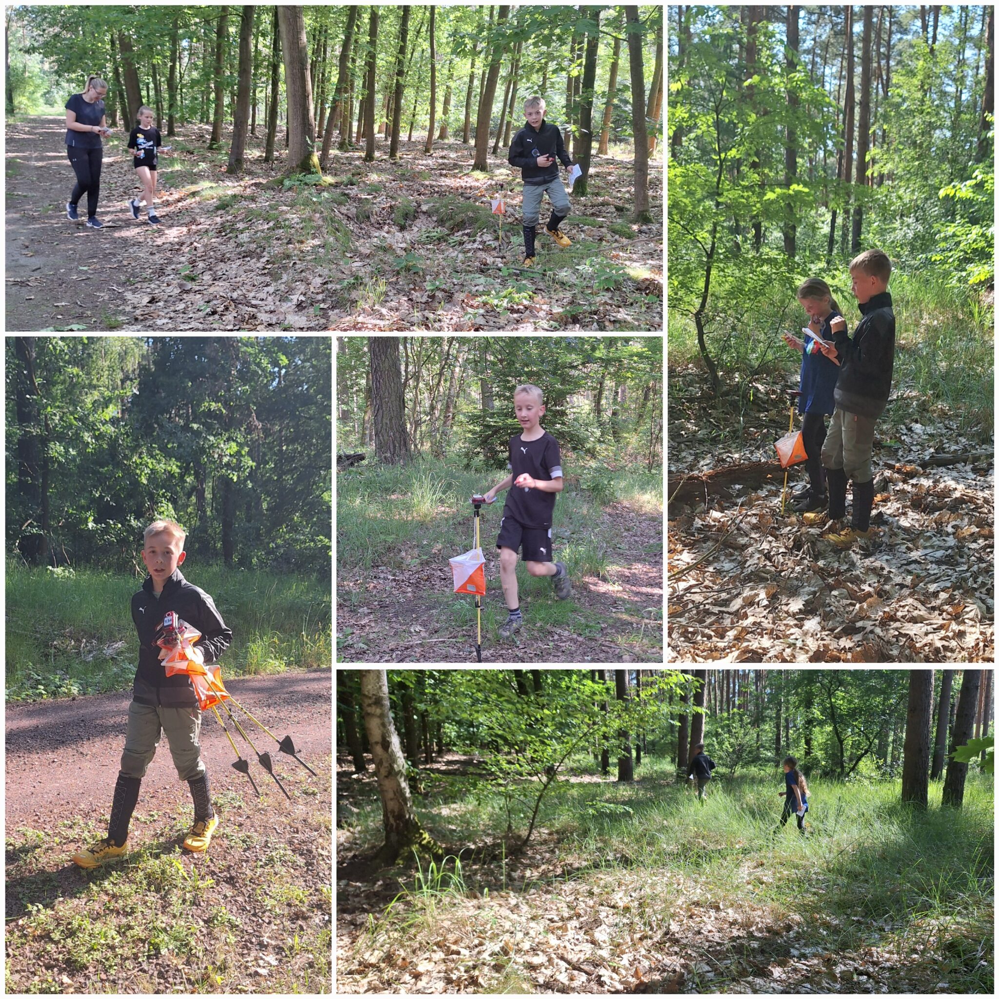 Orientierungslauf – TSG Grün-Weiß Möser e.V.